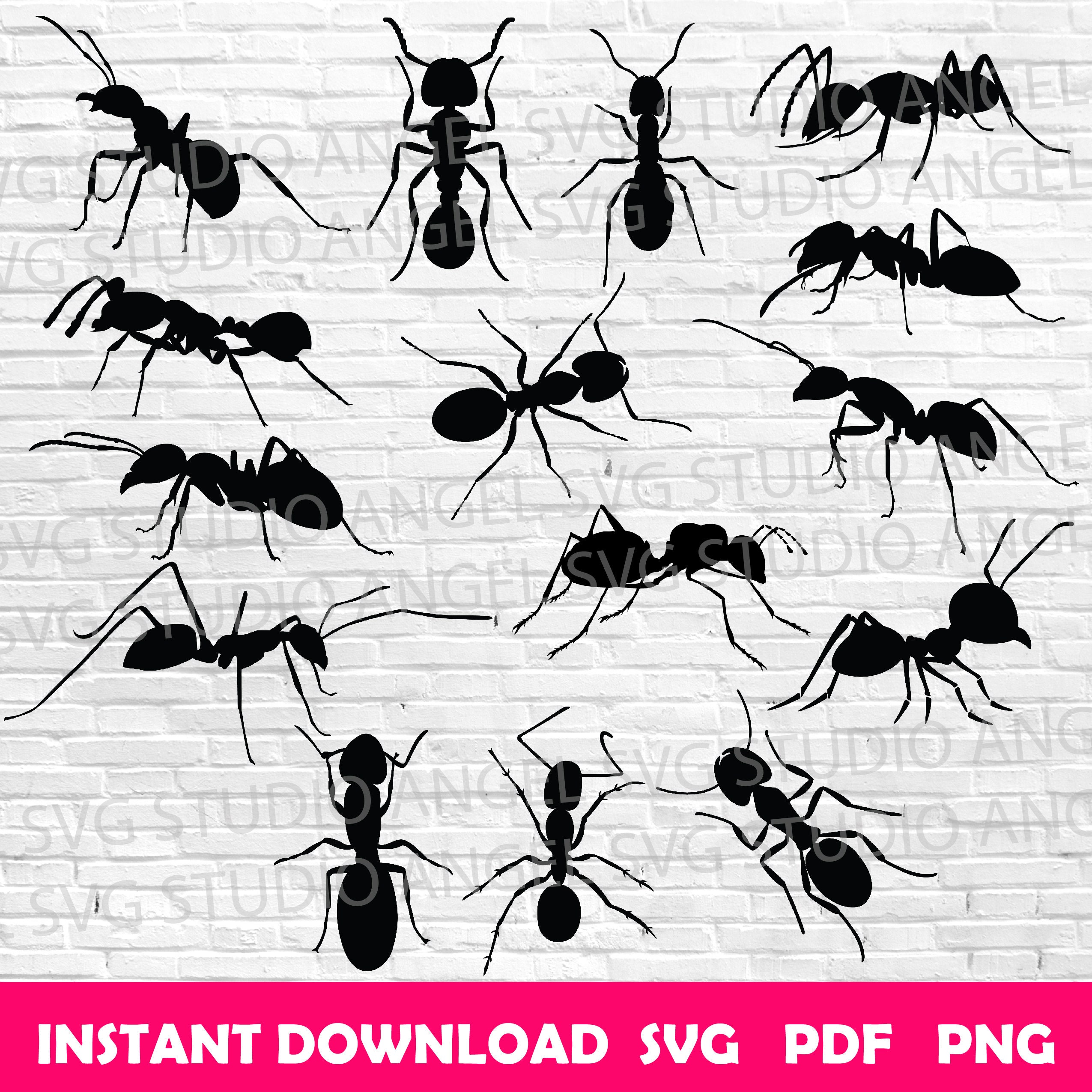 Ants Svg Ants Cricut Ants Clipart Ants Vector Ants Silhouette Ants Svg Cut File Ants Svg Bundle ...