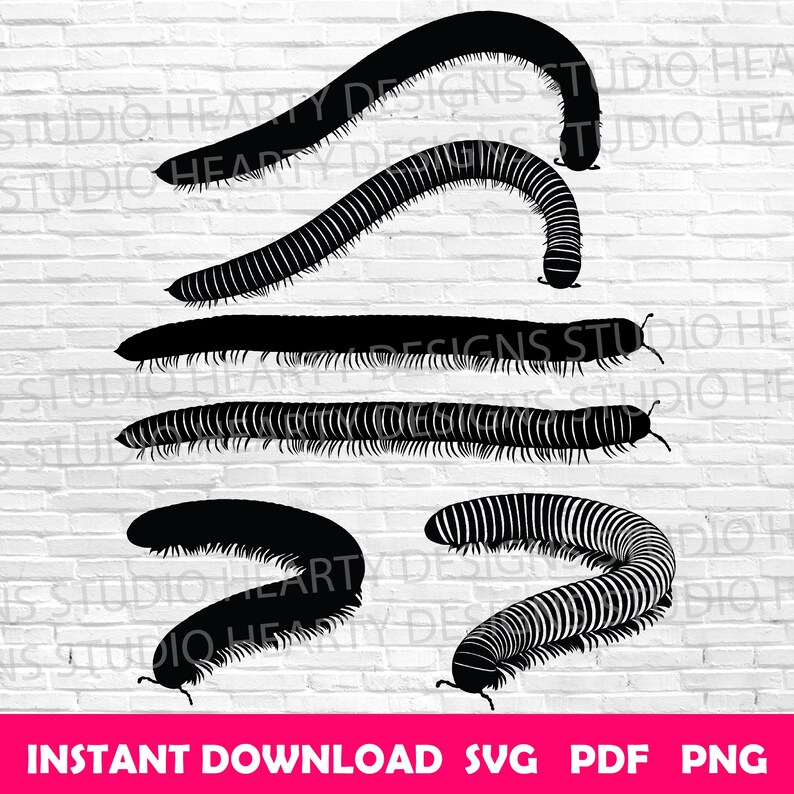 Millipede SVG Bundle: Clipart, Vector, Cut Files (digital Download) - Etsy