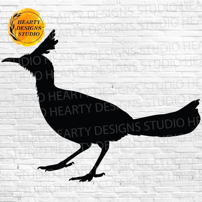 Roadrunner SVG Bundle: Cut Files for Cricut Silhouette (digital ...