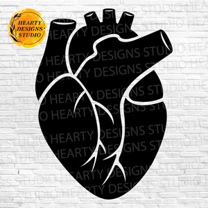 Human Heart Svg Human Heart Cricut Human Heart Clipart Human Heart ...