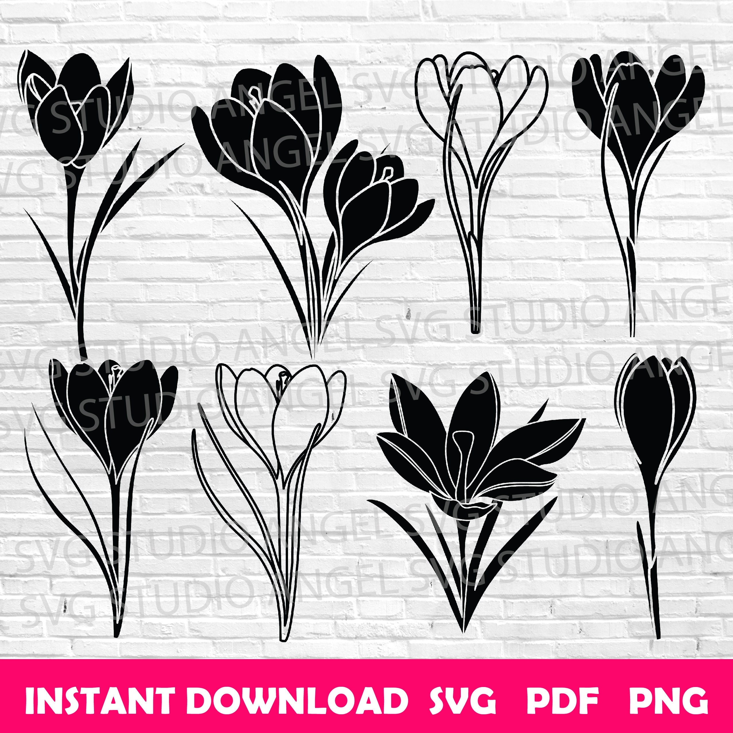 Crocus Svg Crocus Cricut Svg Crocus Svg Cut Files Crocus Vector Svg ...