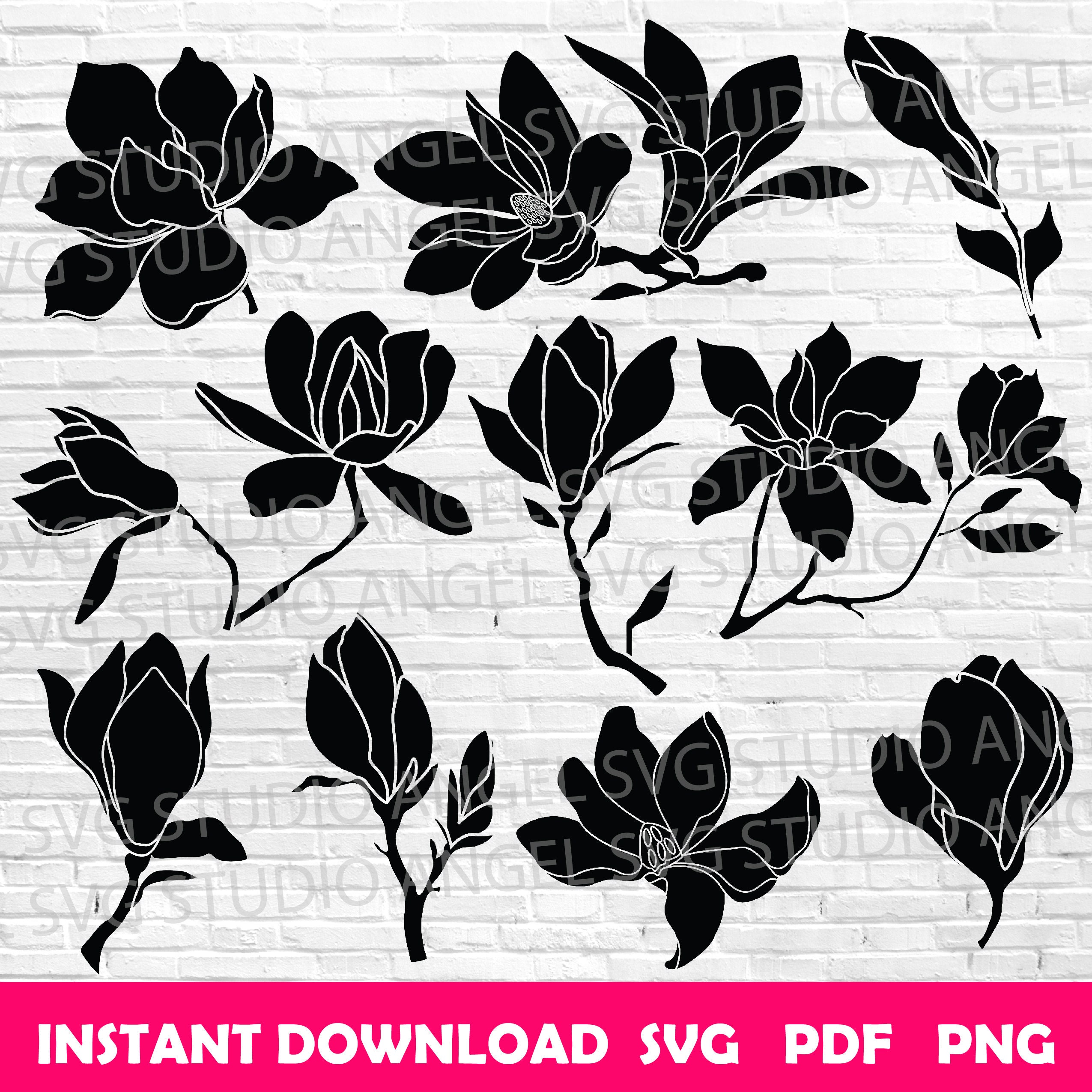 Magnolia Vector