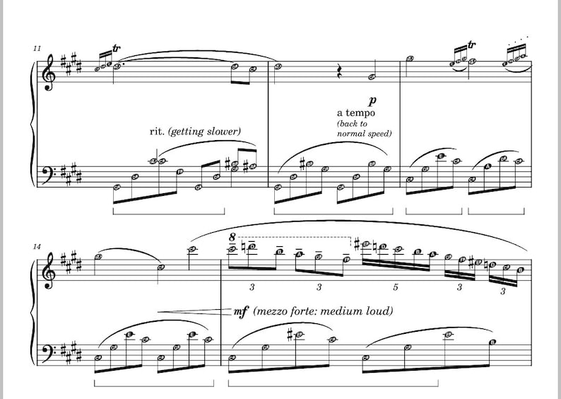 Nocturne No. 20 in C Sharp Minor by CHOPIN With Note Names Details ...