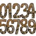 Leopard Football Doodle Letters, Transparent Background, Individually ...
