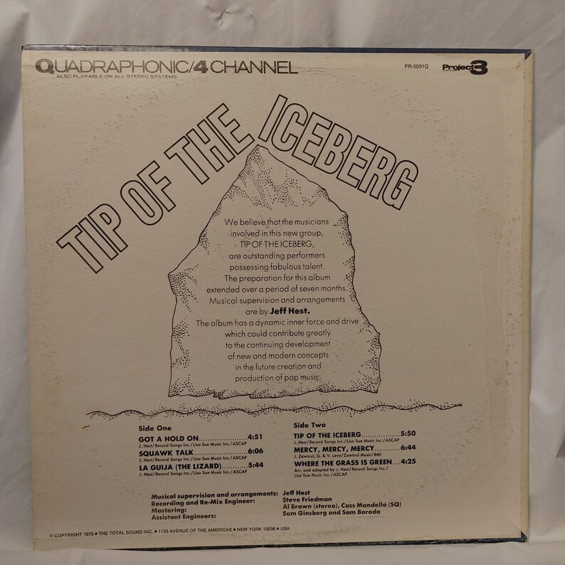 Vintage Tip of the Iceberg – Tip of the Iceberg LP Vinyl Record [PR ...