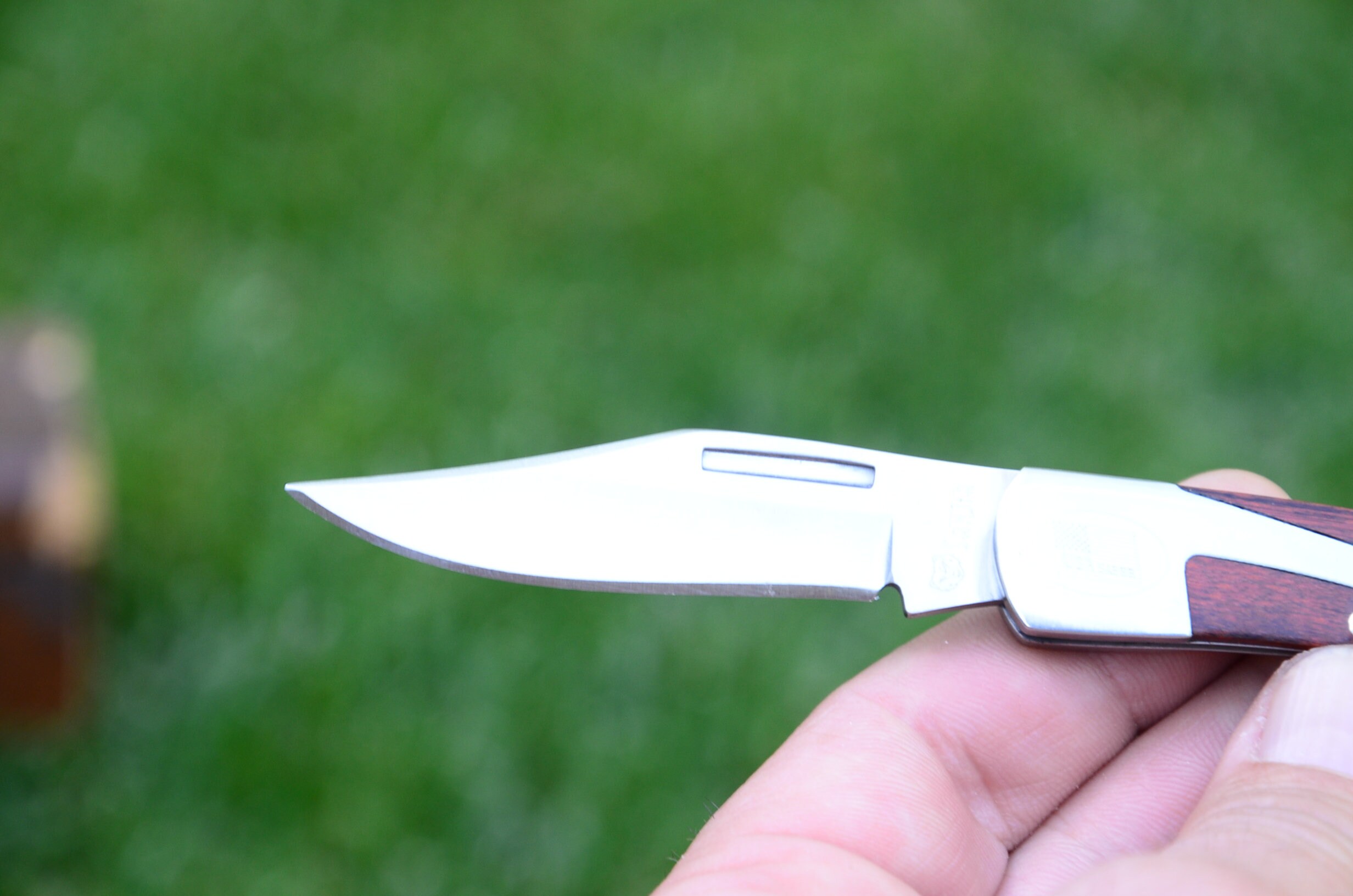 Small Folding Pocket Knife Folding Knife Hunting and Fishing Knife ...
