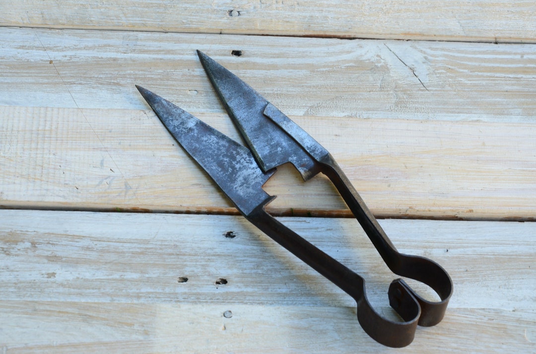 Shear Sheep - Old Metal Sheep Shears - Barnyard Shears - Animal Shears ...