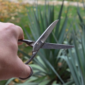 Old Medium Scissors - Medium Hand Scissors - Old Tailor's Scissors ...