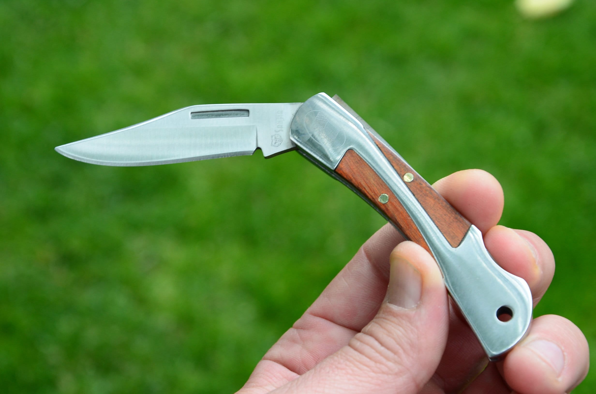 Small Folding Pocket Knife Folding Knife Hunting and Fishing Knife ...