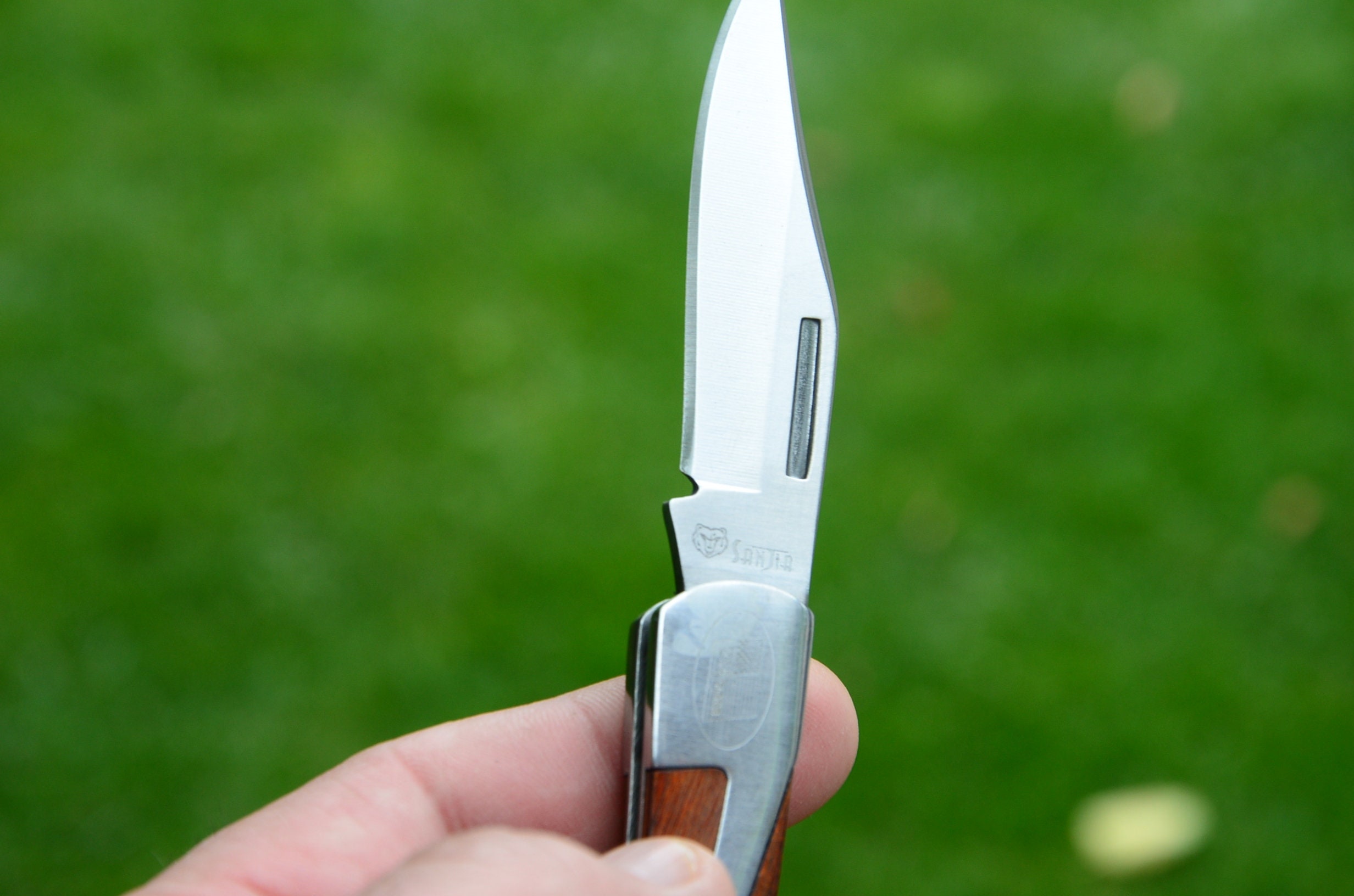 Small Folding Pocket Knife - Folding Knife - Hunting and Fishing Knife ...