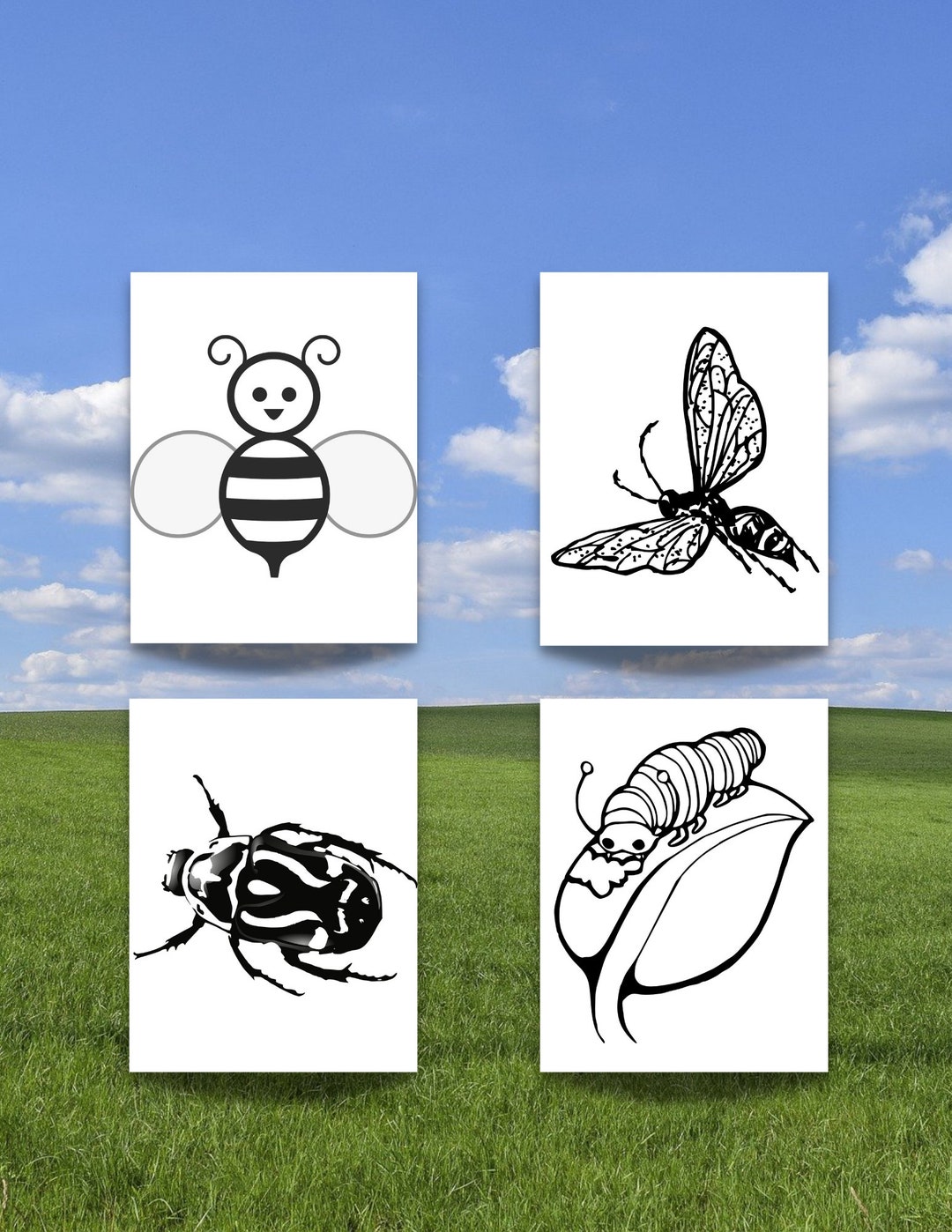 Bug Coloring Pages - Etsy