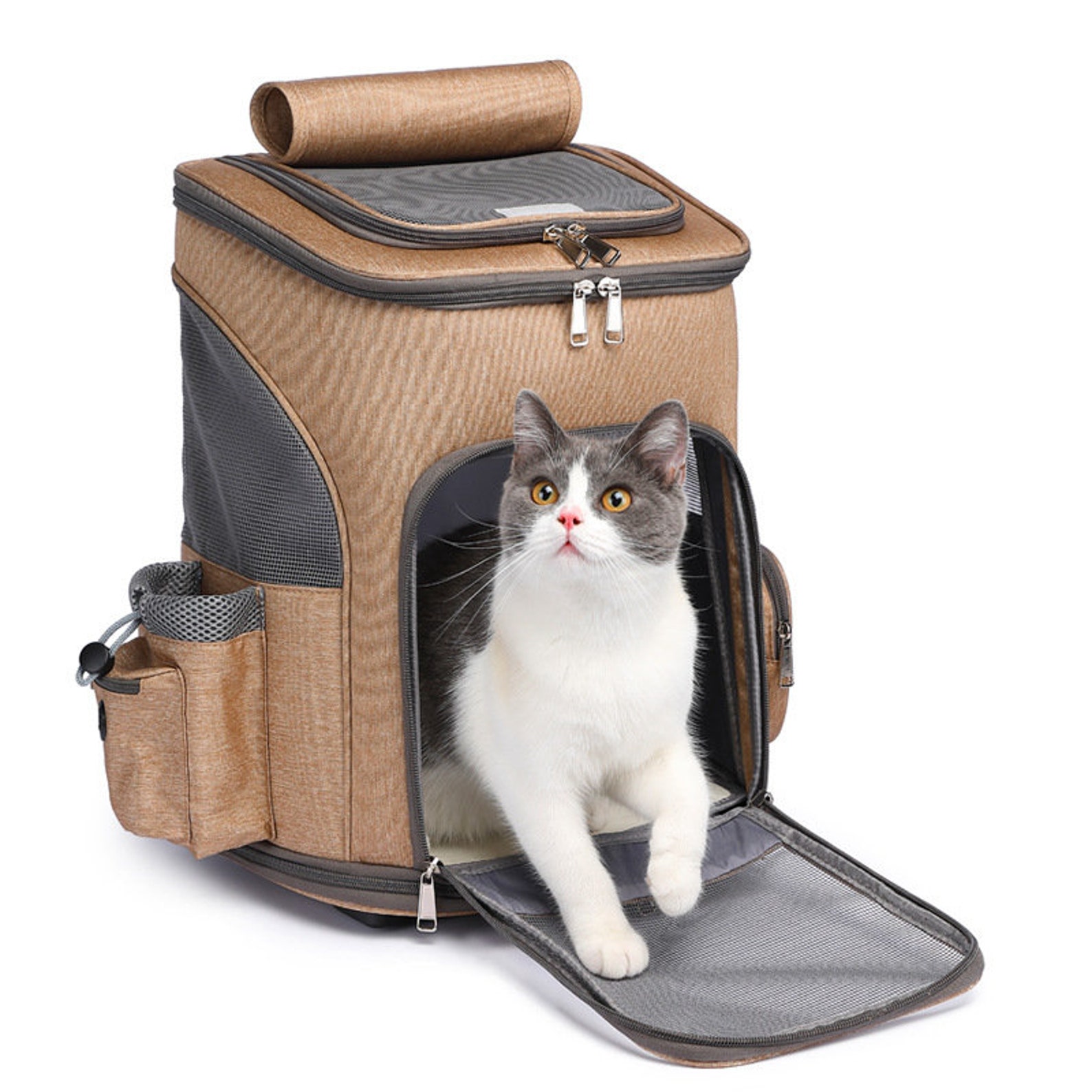 Portable Folding Trolley Pet Backpack Traveling - Etsy