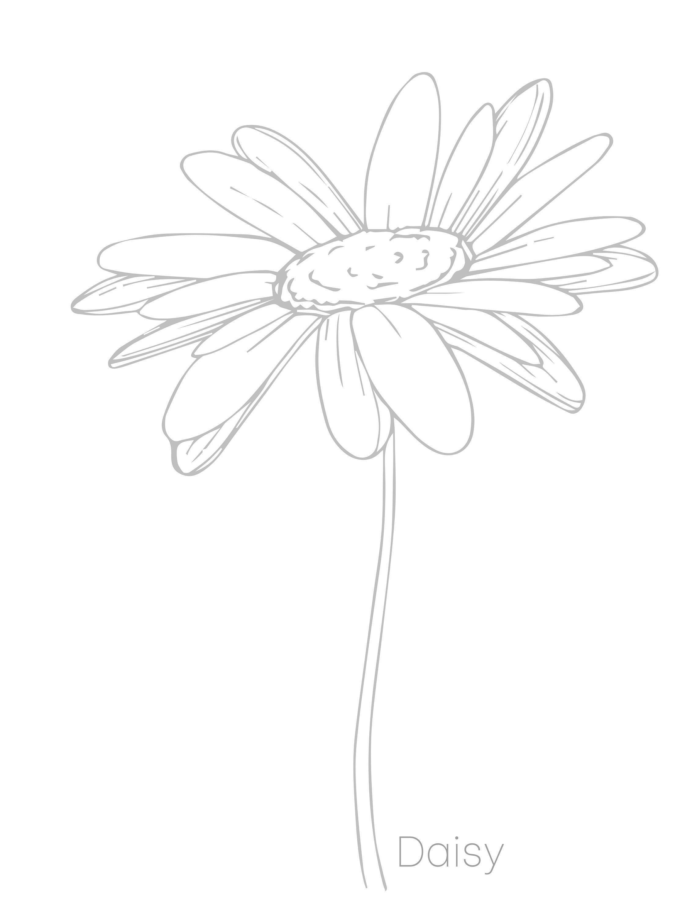 Printable Daisy Wall Art, Flower Digital Download, Flower Wall Art ...