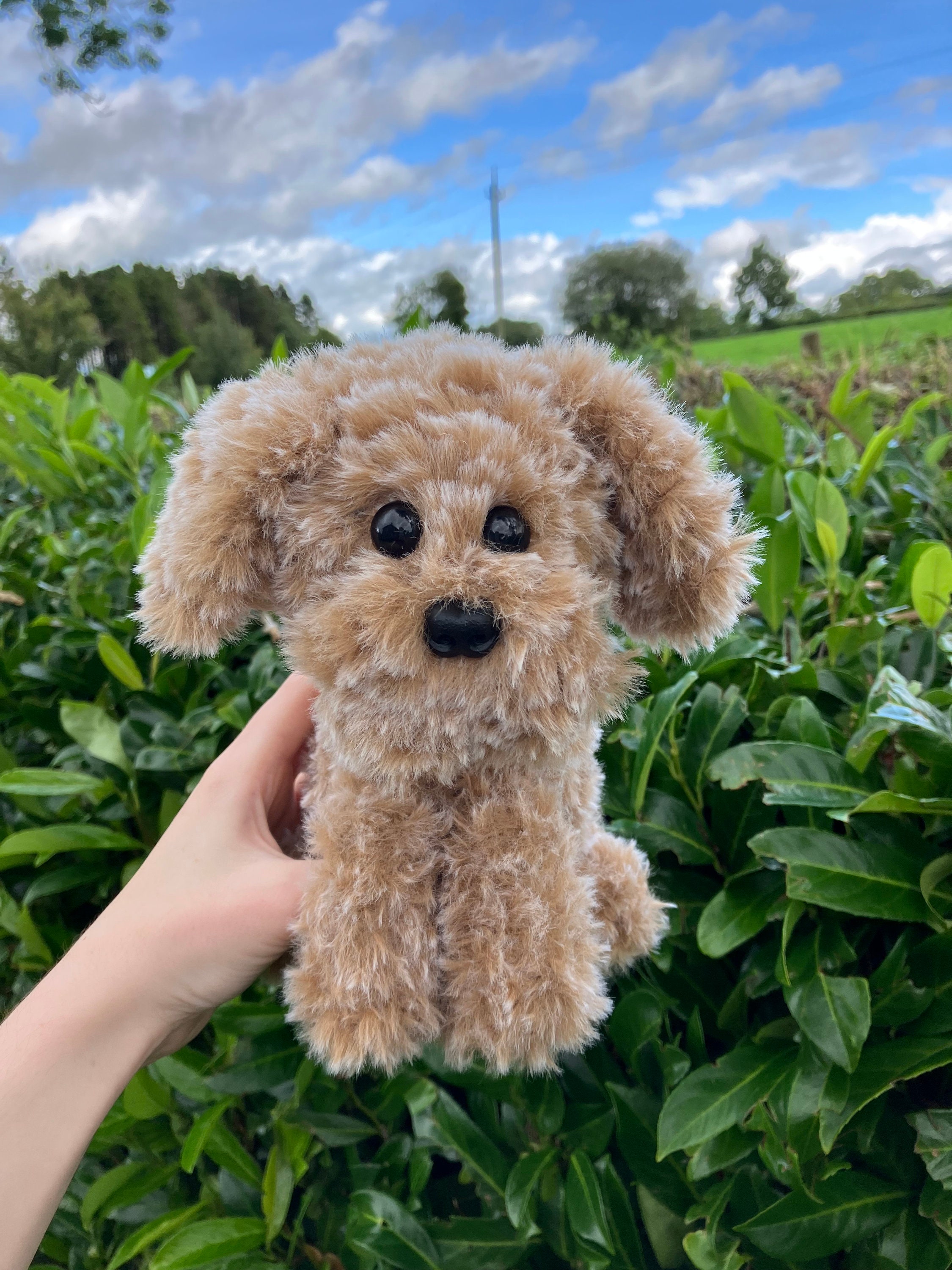 Knitted Cockapoo Teddy - Etsy