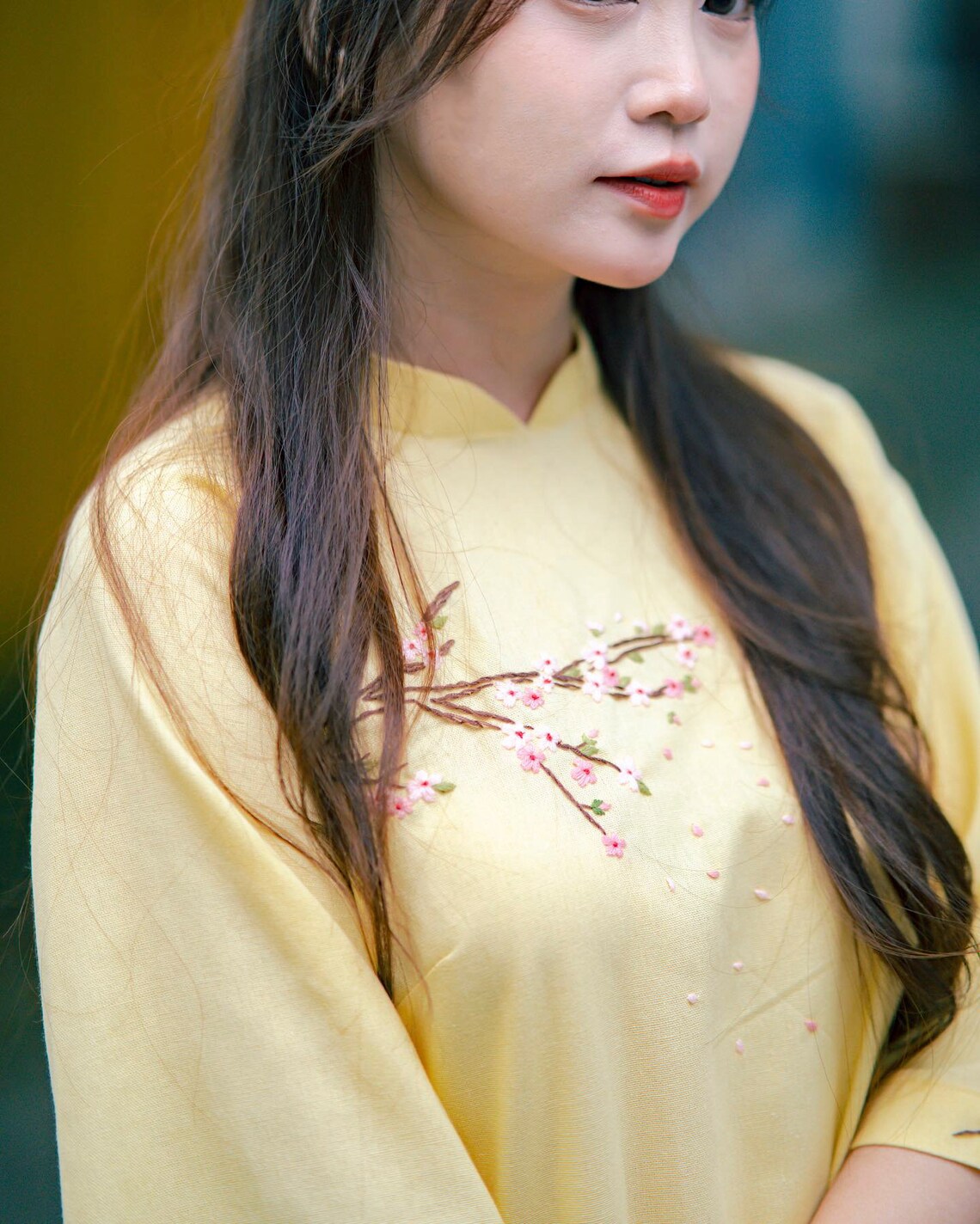 Handmade Embroidery Ao Dai, Ao Dai Linen, Ao Dai Plus Size, Embroidered ...