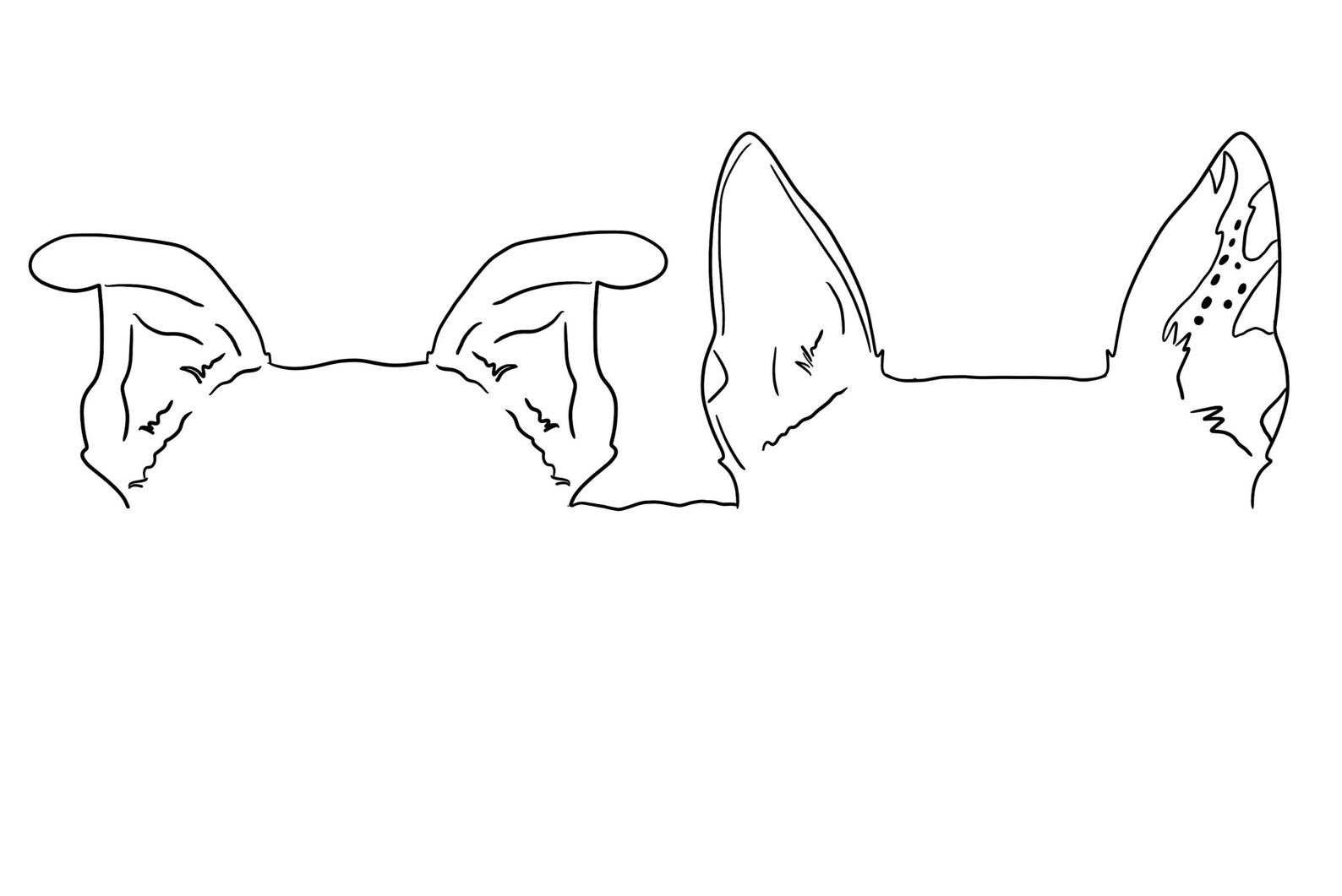 Minimal Pet Ear Outline DIGITAL FILE - Etsy