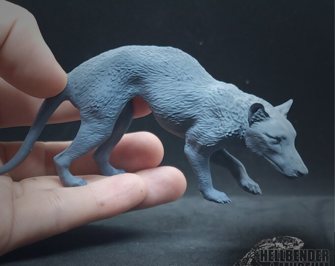 Thylacine tasmanian Tiger, Thylacinus Cynocephalus Figure Unpainted - Etsy