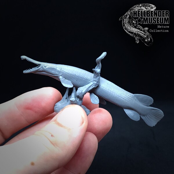 Gar Fish Scale - Etsy