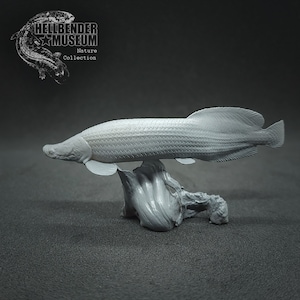 Pirarucu Arapaima arapaima Gigas Figure Miniature Scale Unpainted - Etsy