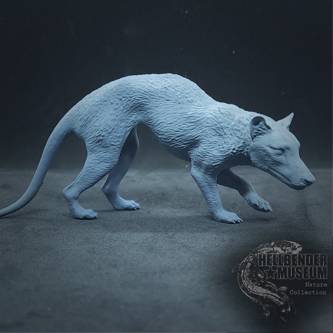 Thylacine tasmanian Tiger Thylacinus Cynocephalus Figure - Etsy