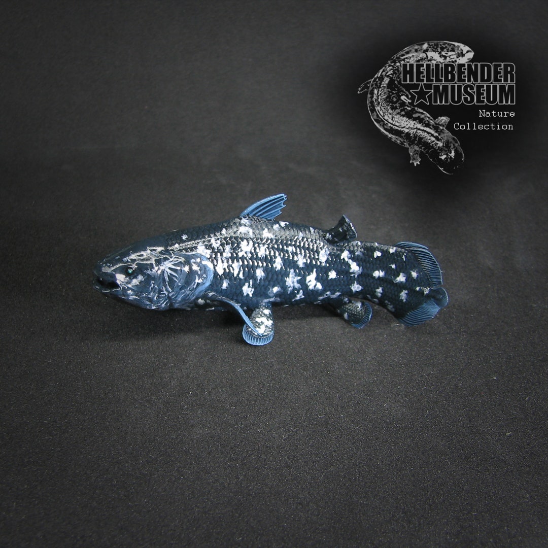 Coelacanth Latimeria Chalumnae Miniature Scale Hand Painted - Etsy