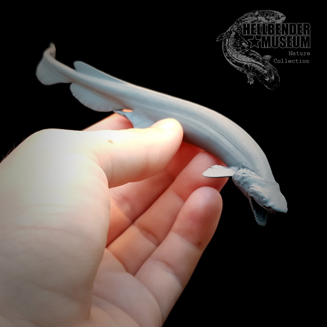 Frilled Shark chlamydoselachus Anguineus 1:12 Figure Unpainted - Etsy