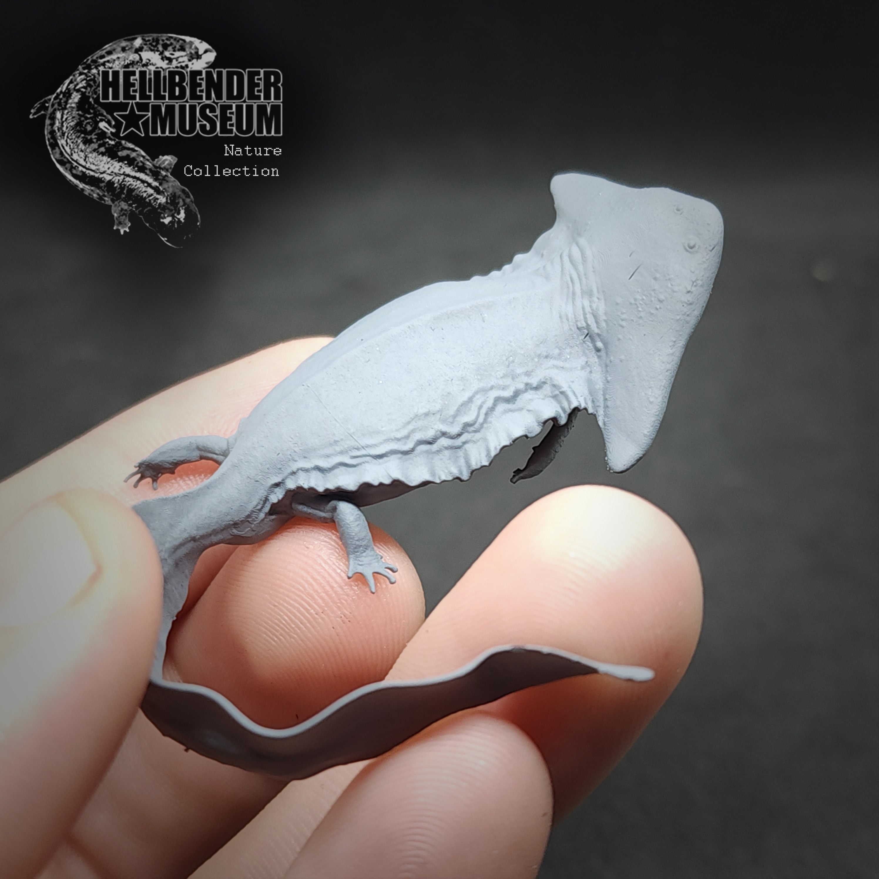 Hammerhead Salamander Diplocaulus