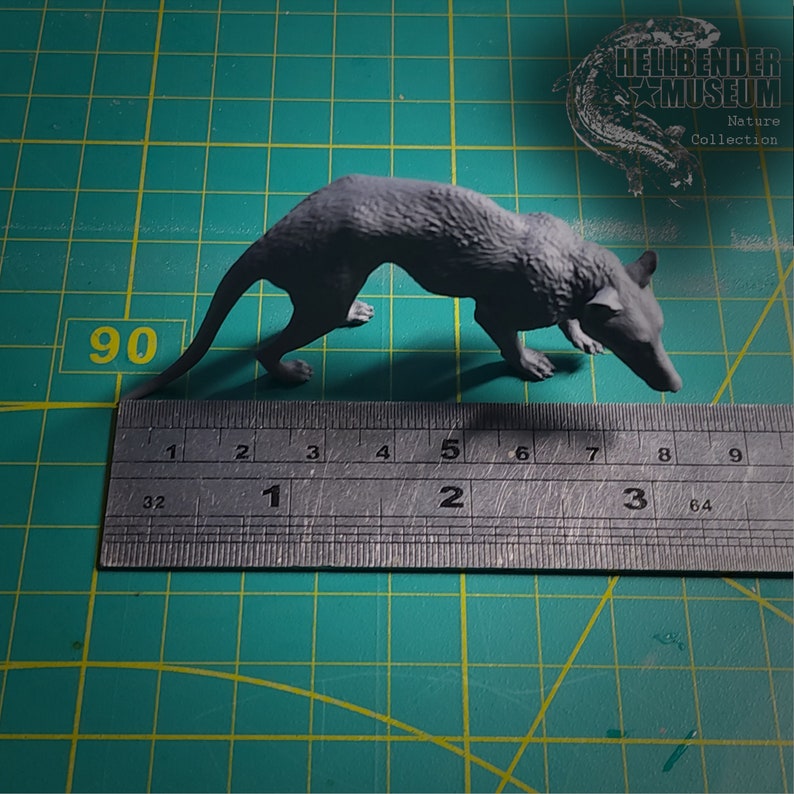 Thylacine tasmanian Tiger Thylacinus Cynocephalus Figure - Etsy