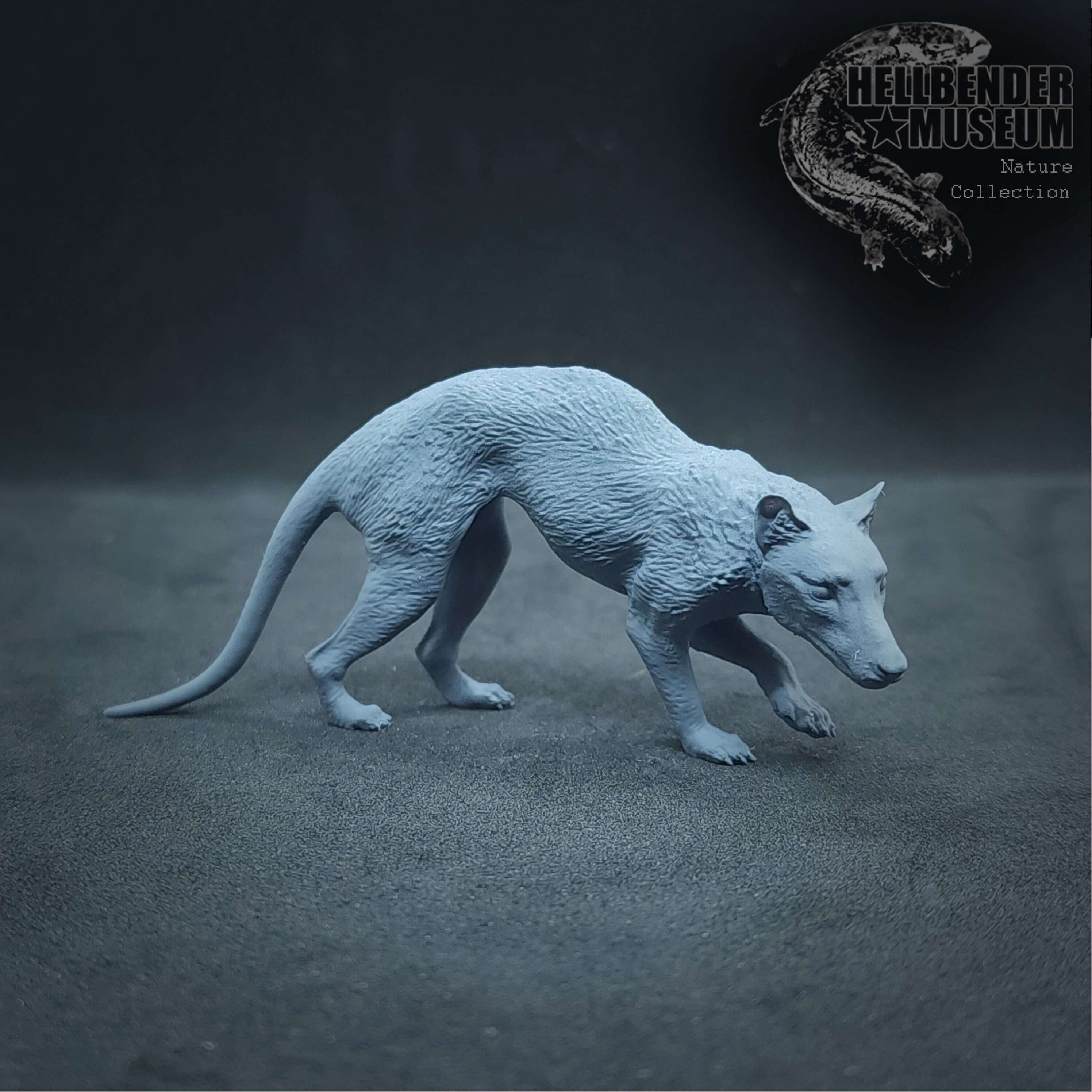 Thylacine tasmanian Tiger Thylacinus Cynocephalus Figure - Etsy