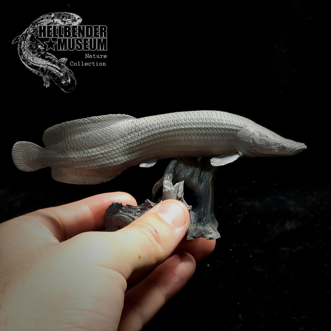Pirarucu Arapaima arapaima Gigas Figure Unpainted - Etsy Canada