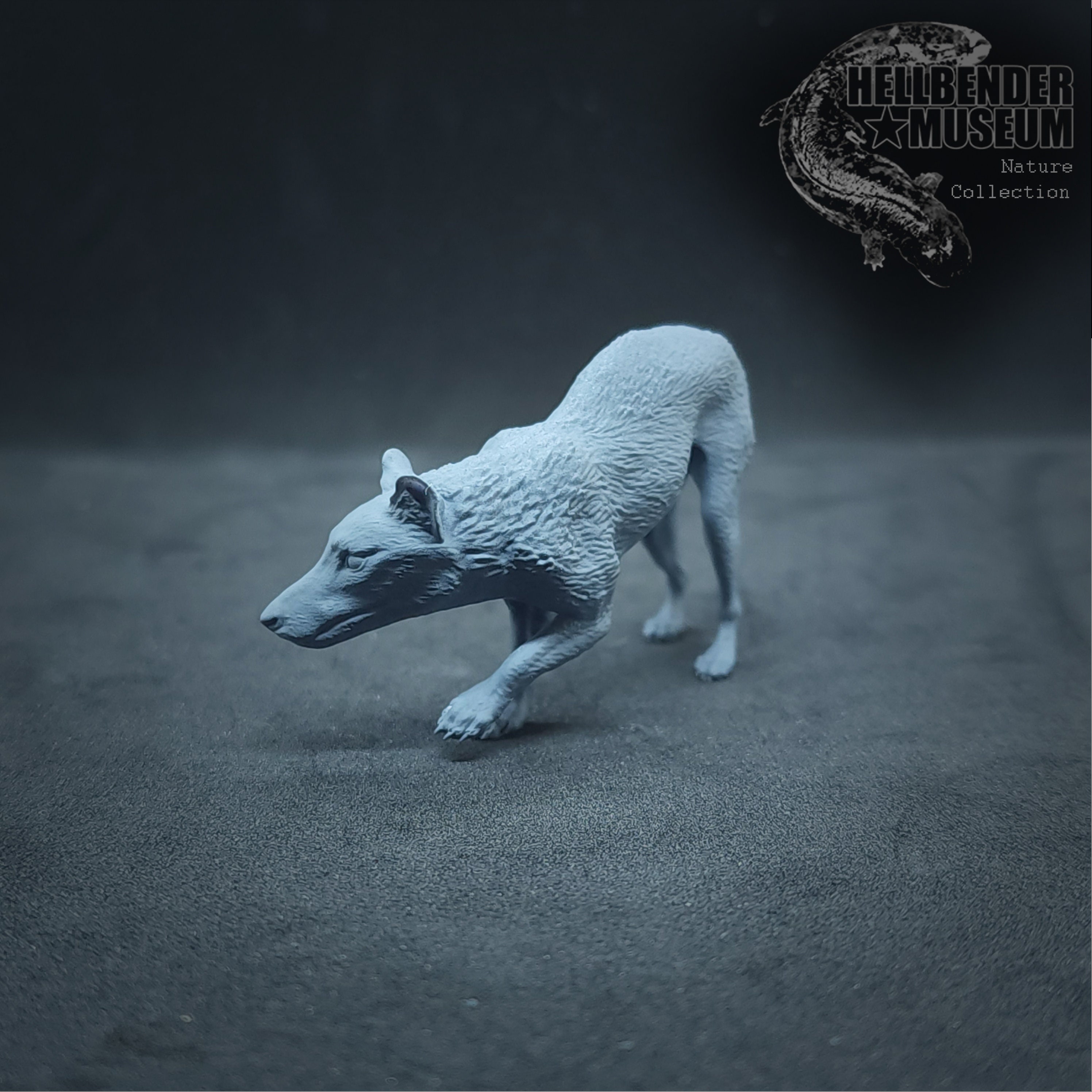 Thylacine tasmanian Tiger Thylacinus Cynocephalus Figure - Etsy