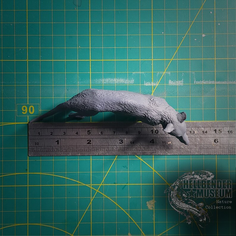 Thylacine tasmanian Tiger Thylacinus Cynocephalus Figure - Etsy