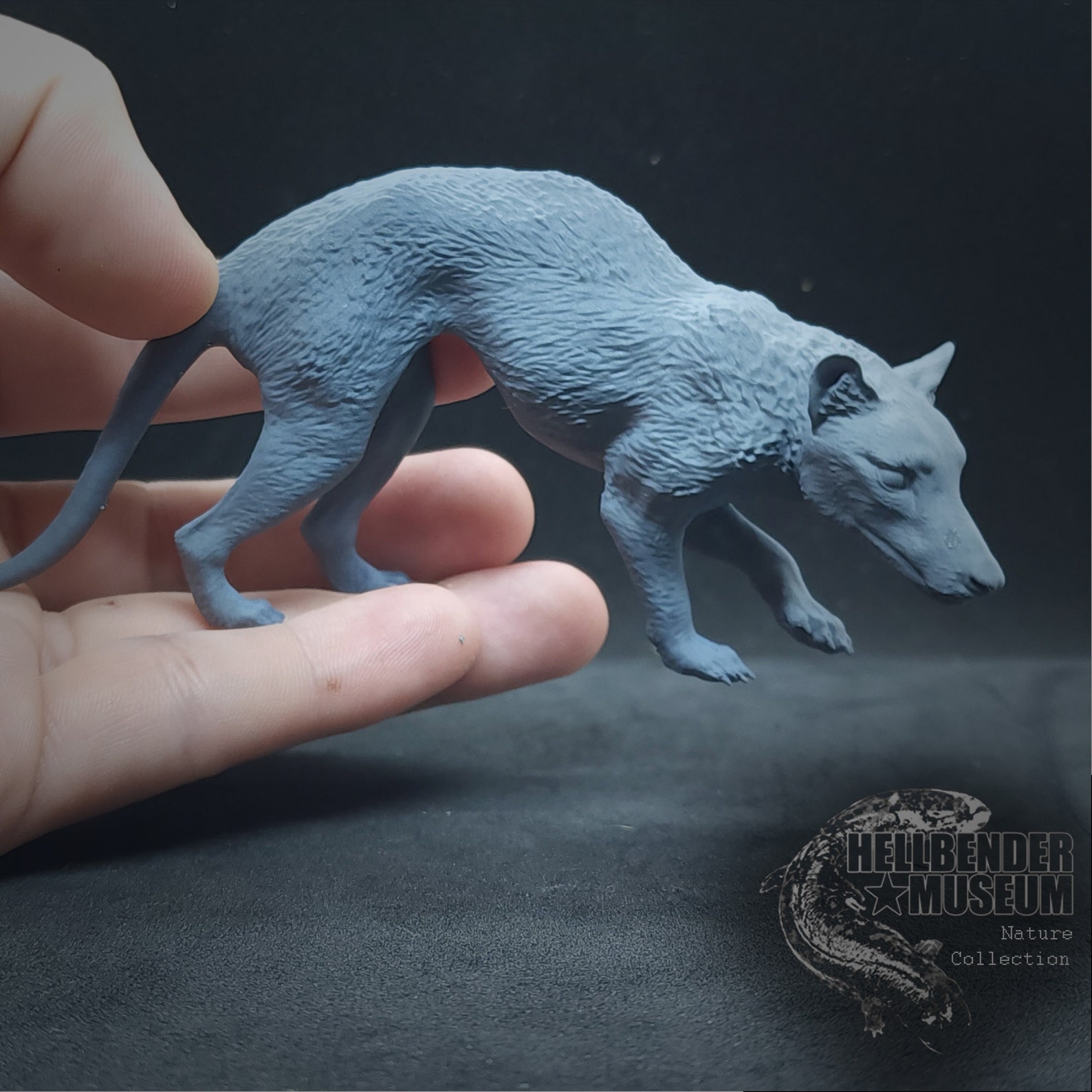 Thylacine tasmanian Tiger Thylacinus Cynocephalus Figure - Etsy