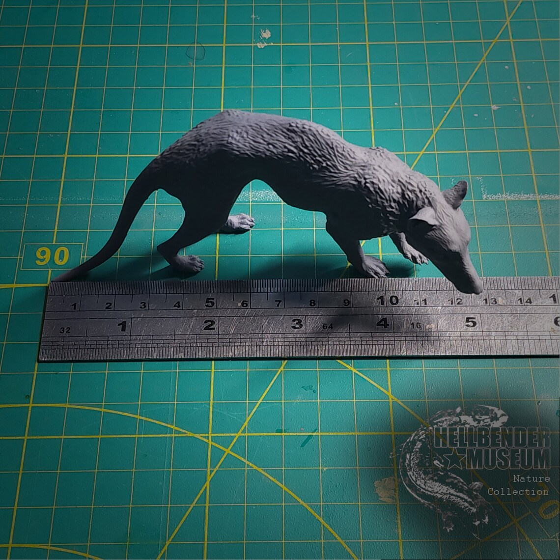 Thylacine tasmanian Tiger Thylacinus Cynocephalus Figure - Etsy
