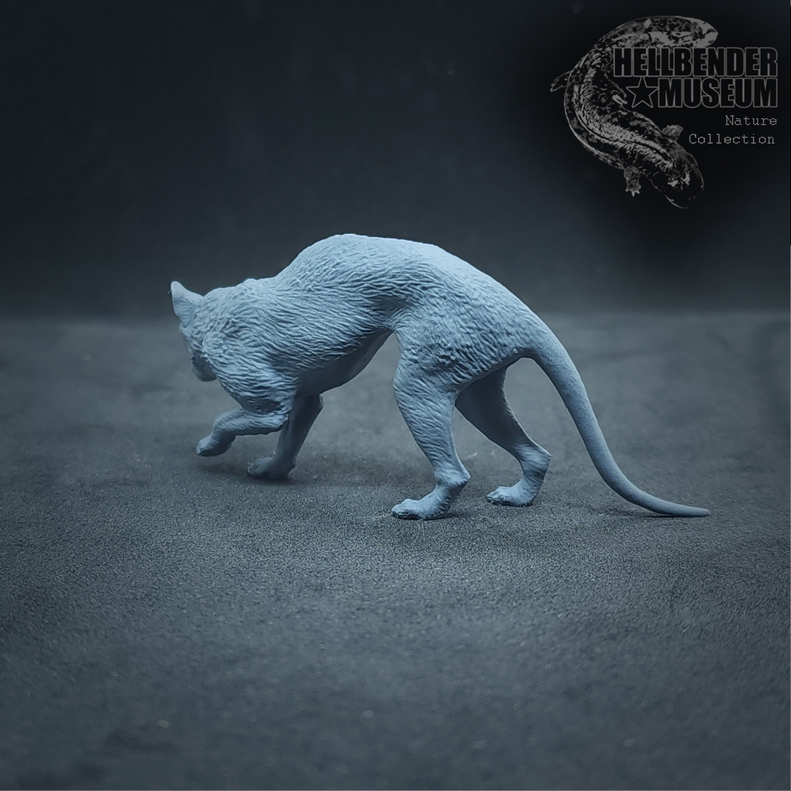 Thylacine tasmanian Tiger Thylacinus Cynocephalus Figure - Etsy Australia