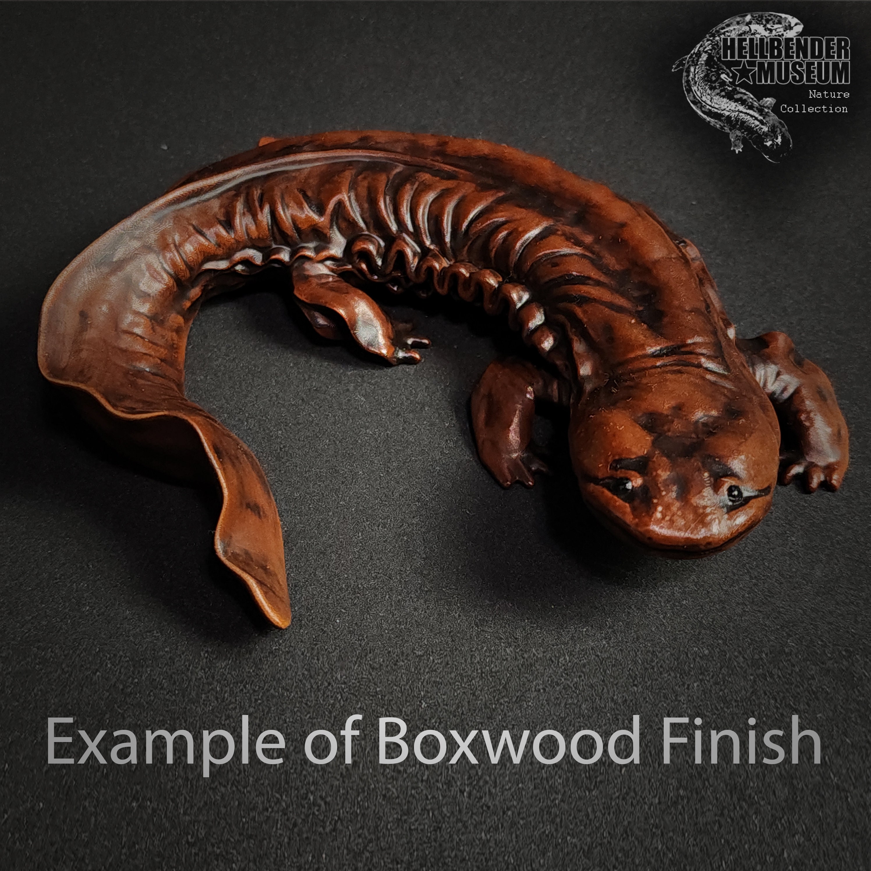 Hammerhead Salamander Diplocaulus