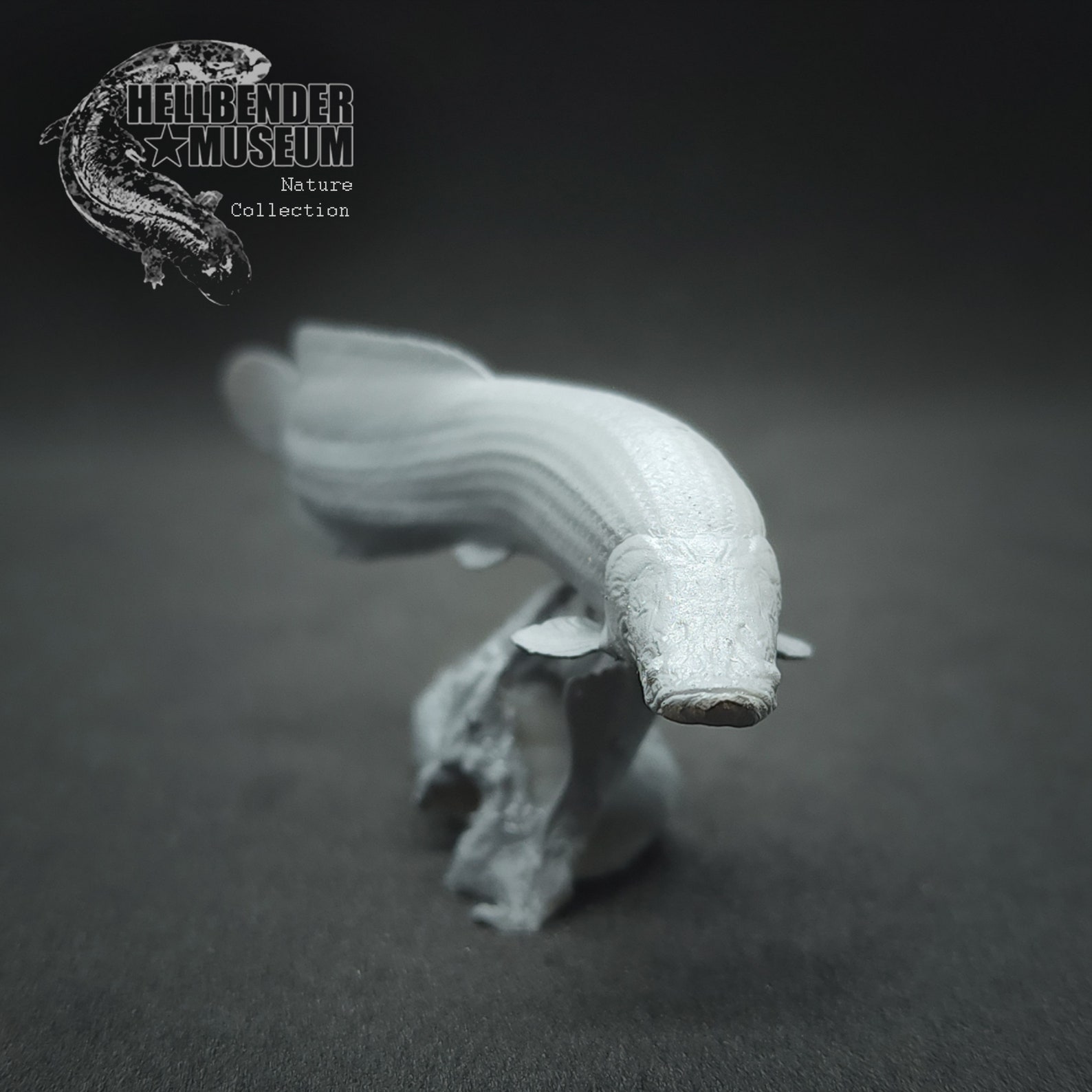 Pirarucu Arapaima arapaima Gigas Figure Miniature Scale | Etsy