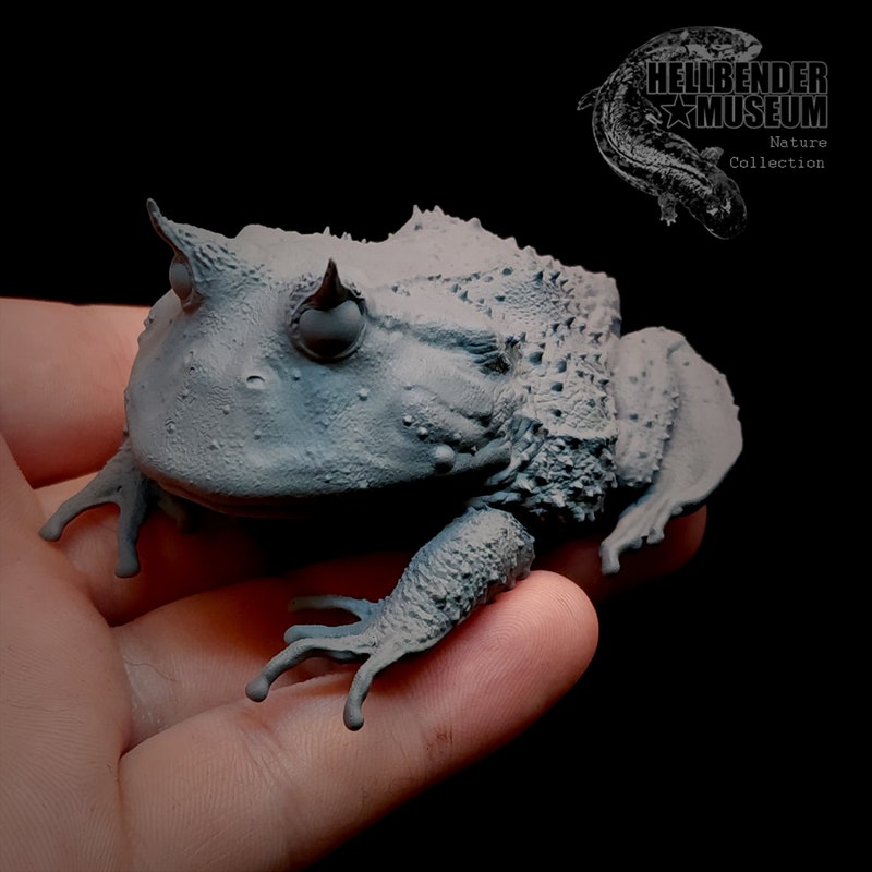 Horned Frogs - Etsy
