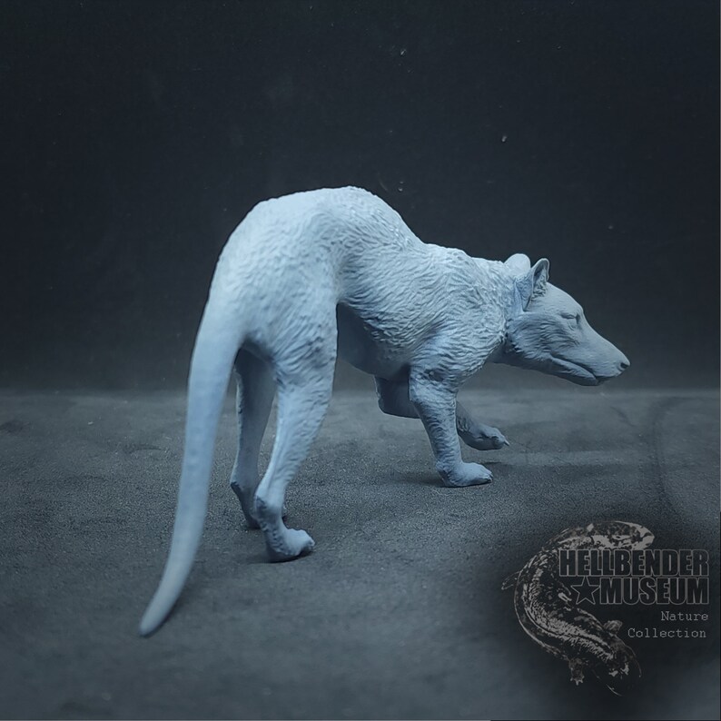 Thylacine tasmanian Tiger Thylacinus Cynocephalus Figure - Etsy