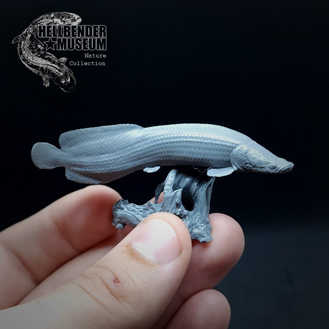 Pirarucu Arapaima arapaima Gigas Figure Miniature Scale Unpainted - Etsy