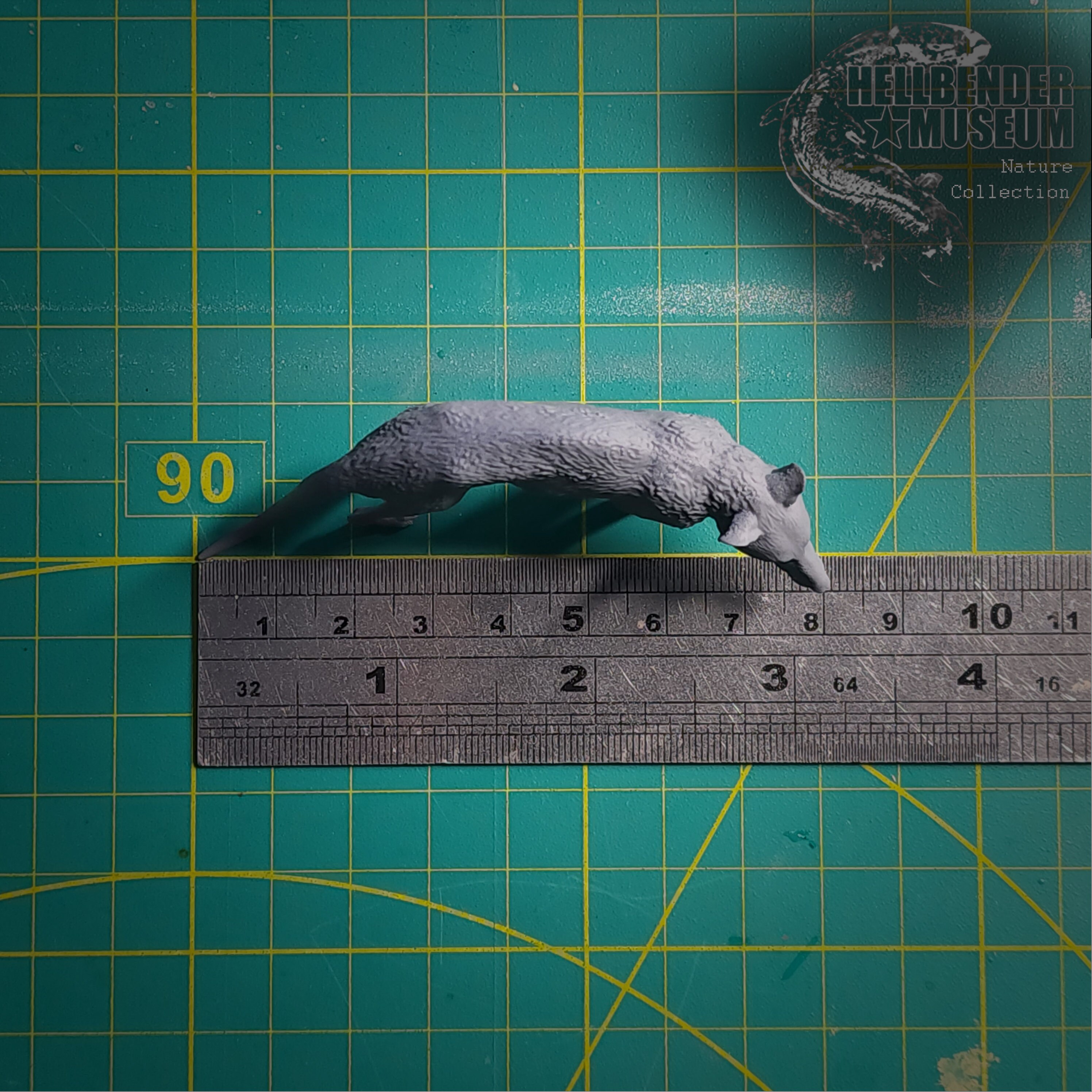 Thylacine tasmanian Tiger Thylacinus Cynocephalus Figure - Etsy