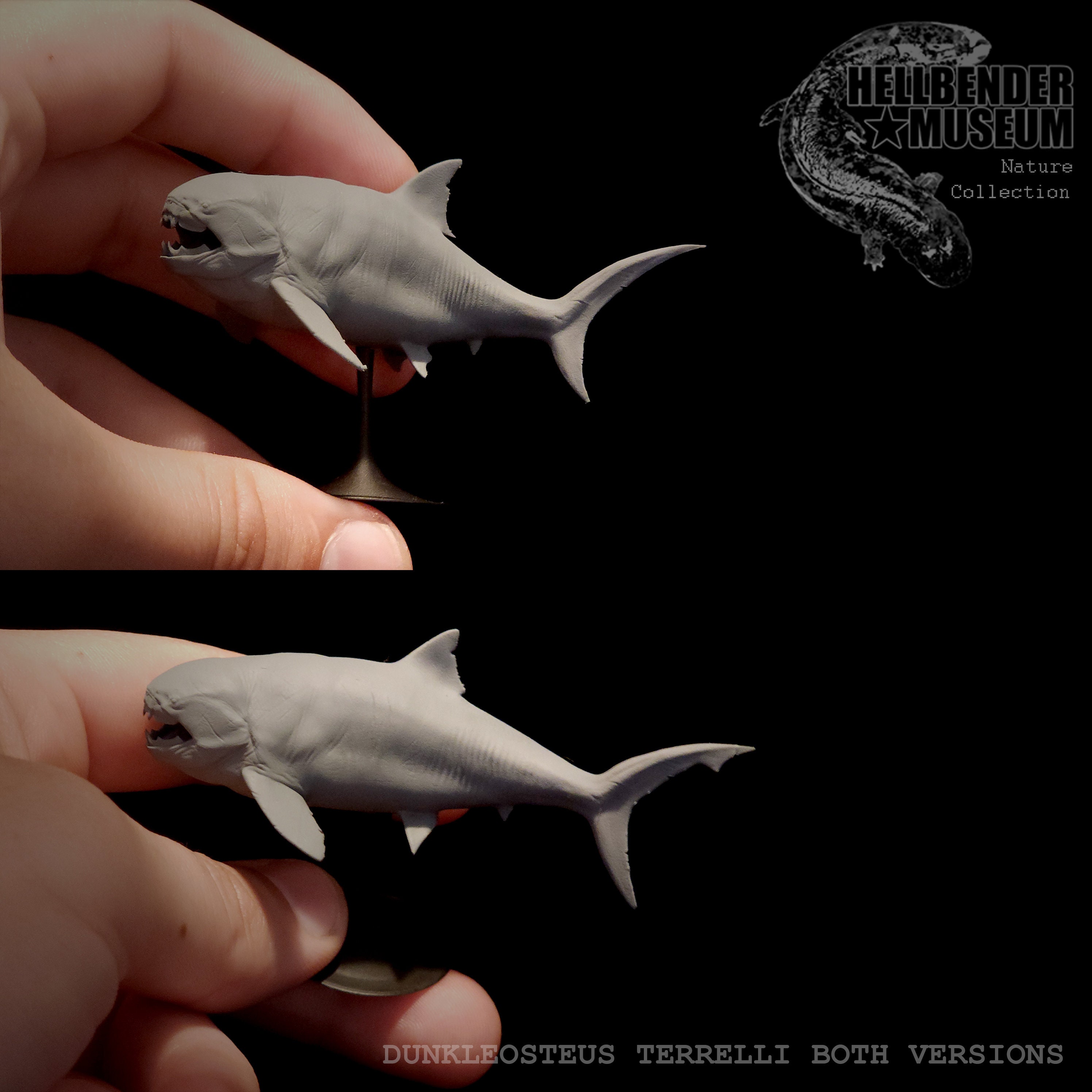 Dunkleosteus Terrelli
