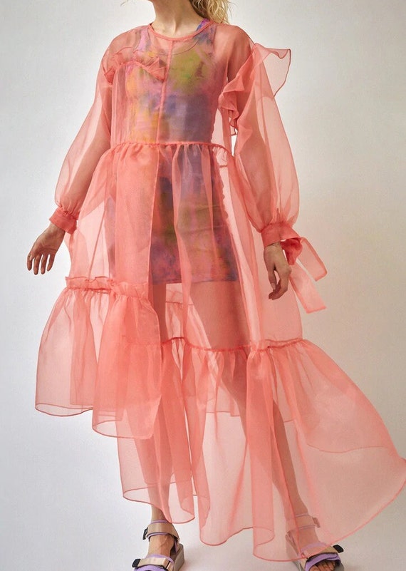 Sheer Organza Dress