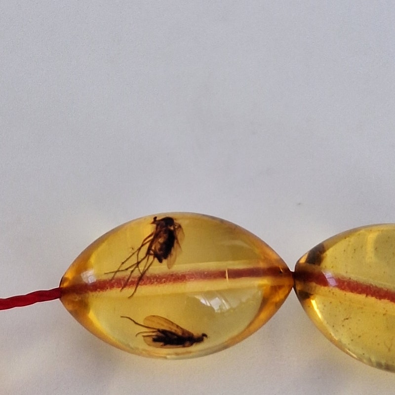 Amber With Insect - Etsy