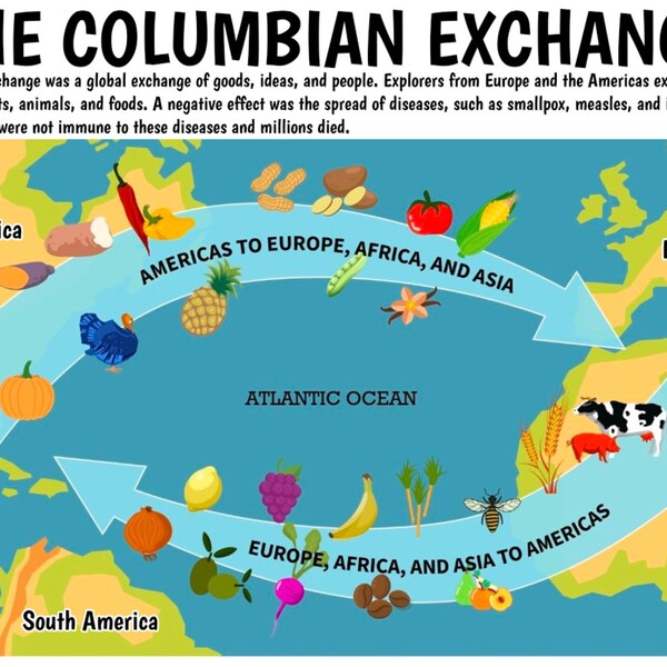 History Anchor Charts - Etsy