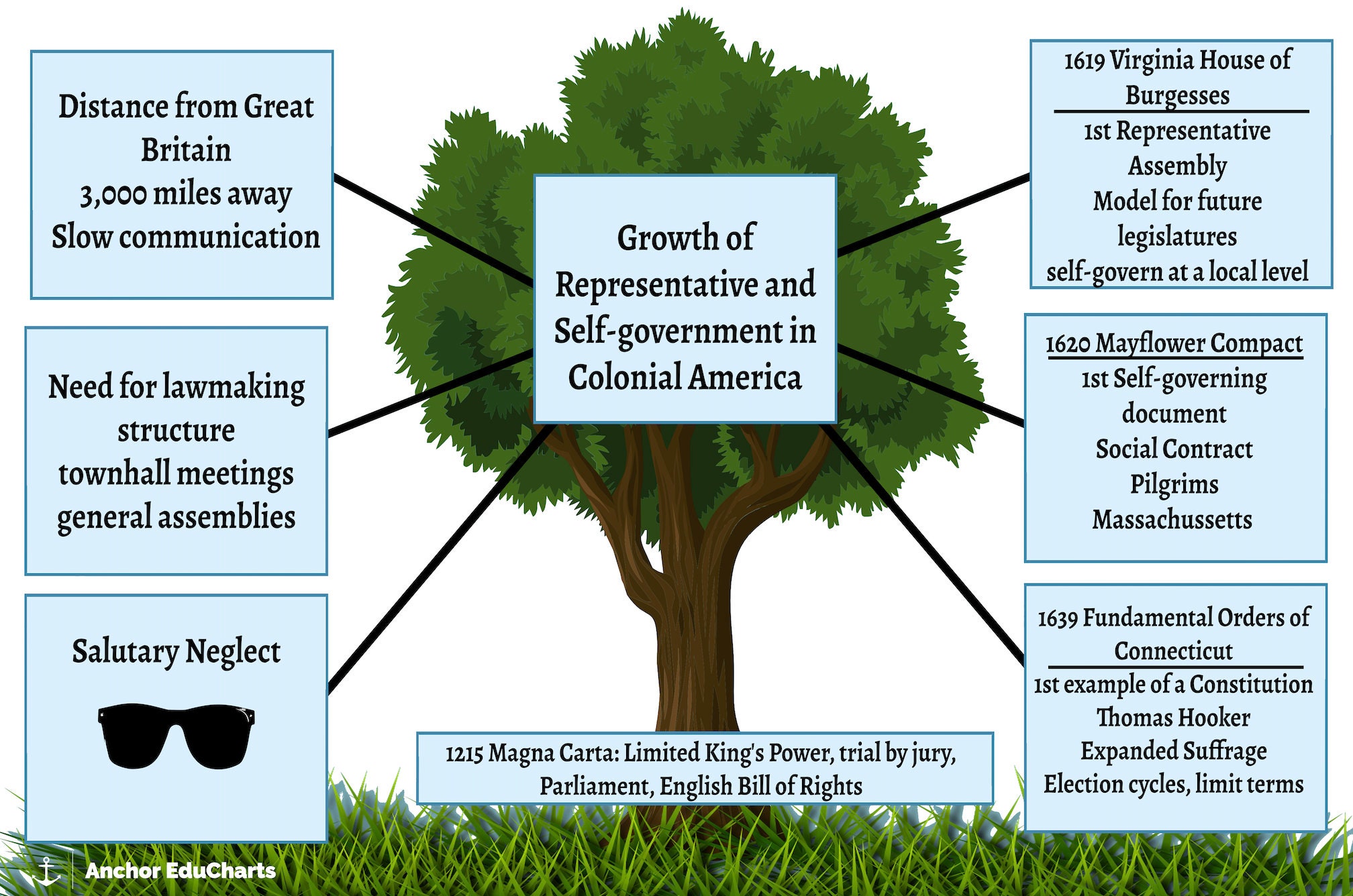 Structure Of Us Govt As A Tree