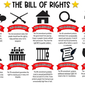The Bill of Rights, 10 Amendments, U.S. Constitution, Freedoms, Social Studies, Anchor Charts ...