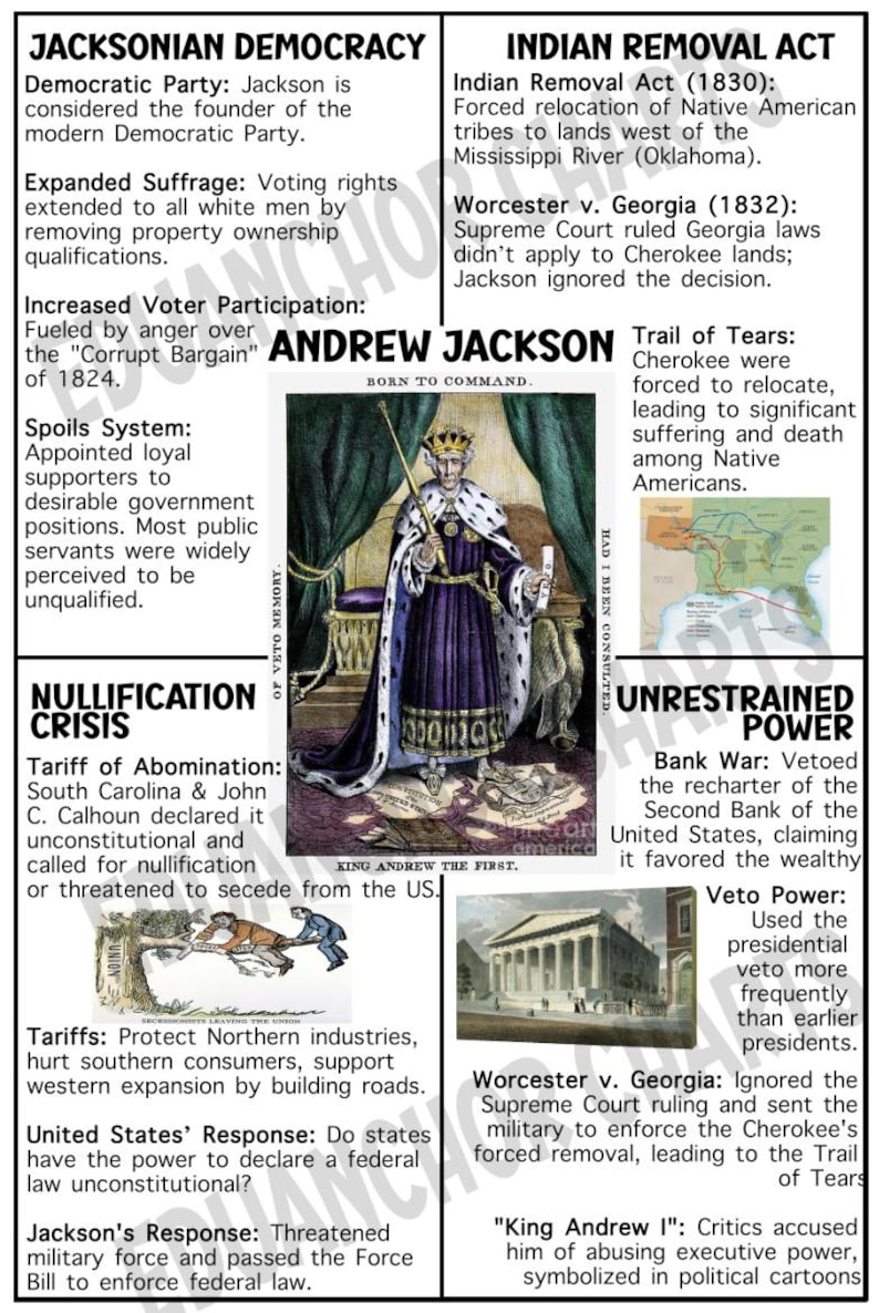 Andrew Jackson, Presidents, Early Republic, U.S. History, American ...