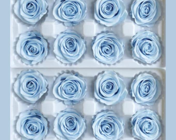 4-5cm Preserved Rose Preserved Light Blue Rose Everlasting Rose ...