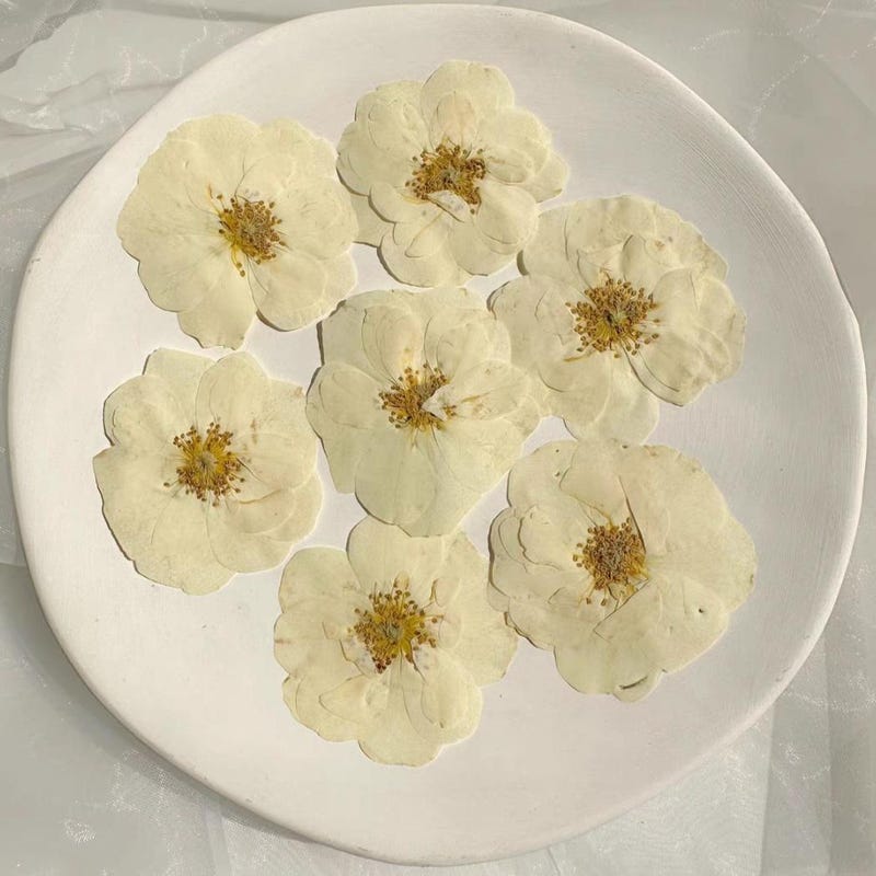 Dried White Roses - Etsy